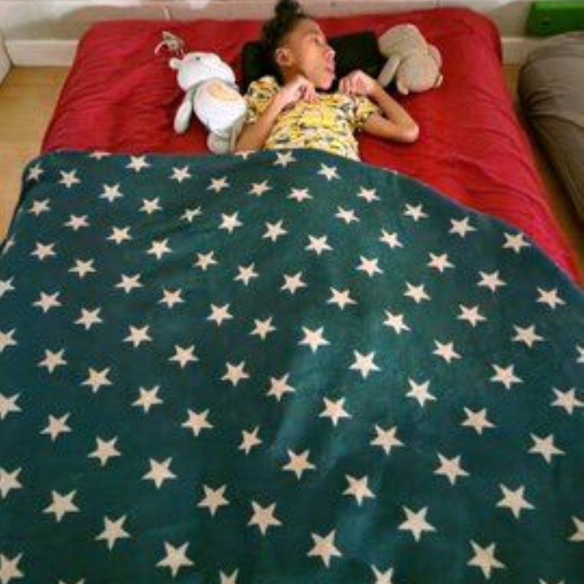 Willow Dene School - Item Not Available