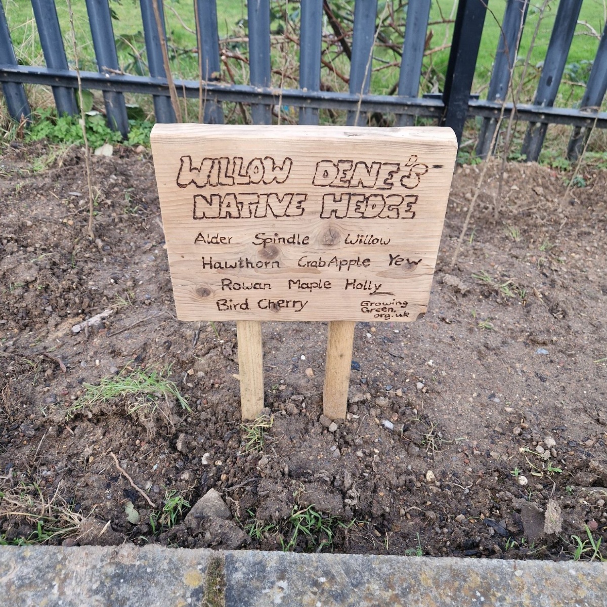 Willow Dene School - Item Not Available