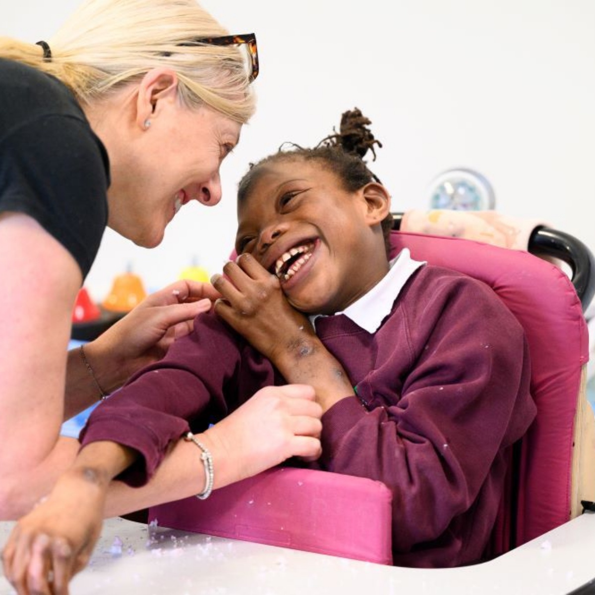 Willow Dene School - Rowan Wood Consultation